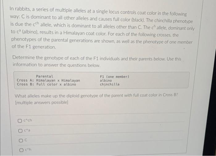 Solved In rabbits, a series of multiple alleles at a single | Chegg.com