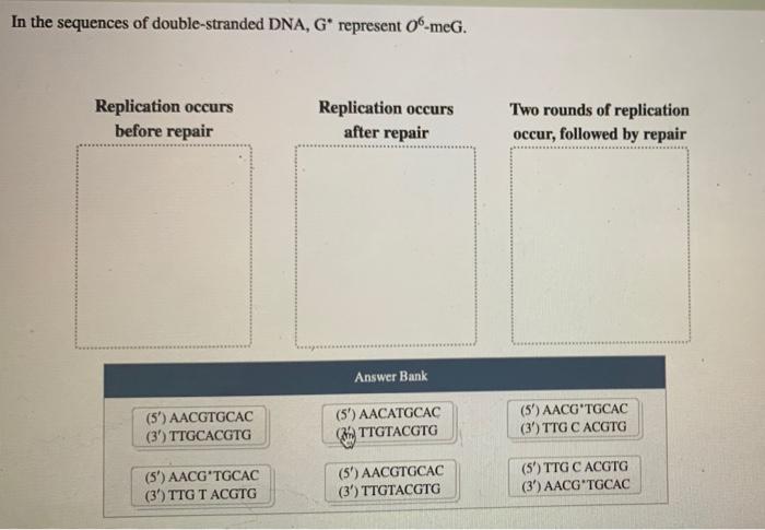 Solved In the sequences of double-stranded DNA, G* represent | Chegg.com