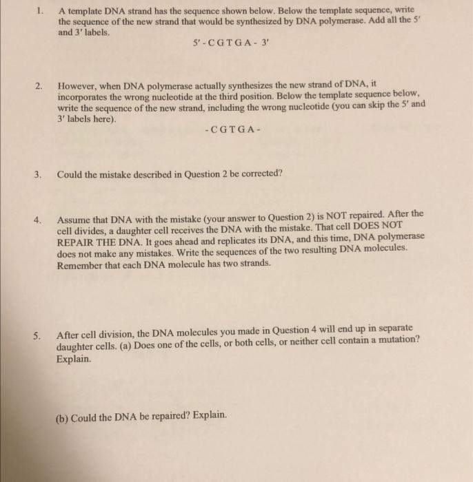 Solved 1. A template DNA strand has the sequence shown | Chegg.com