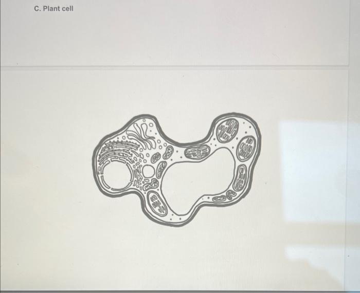 Solved Part 2. Working with Models: Recognizing Structures | Chegg.com