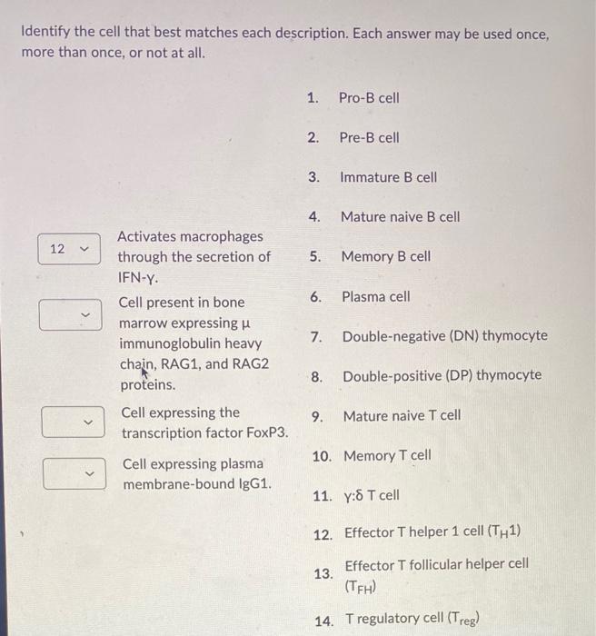 Solved Identify the cell that best matches each description. | Chegg.com