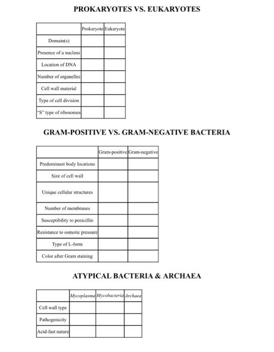 [Solved]: PROKARYOTES VS. EUKARYOTES GRAM-POSITIVE VS. GRAM
