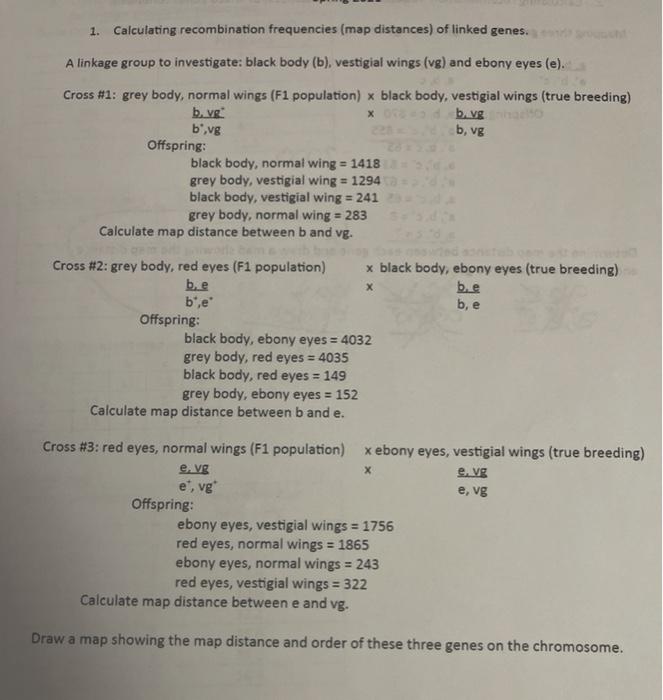 Solved 1. Calculating recombination frequencies (map | Chegg.com