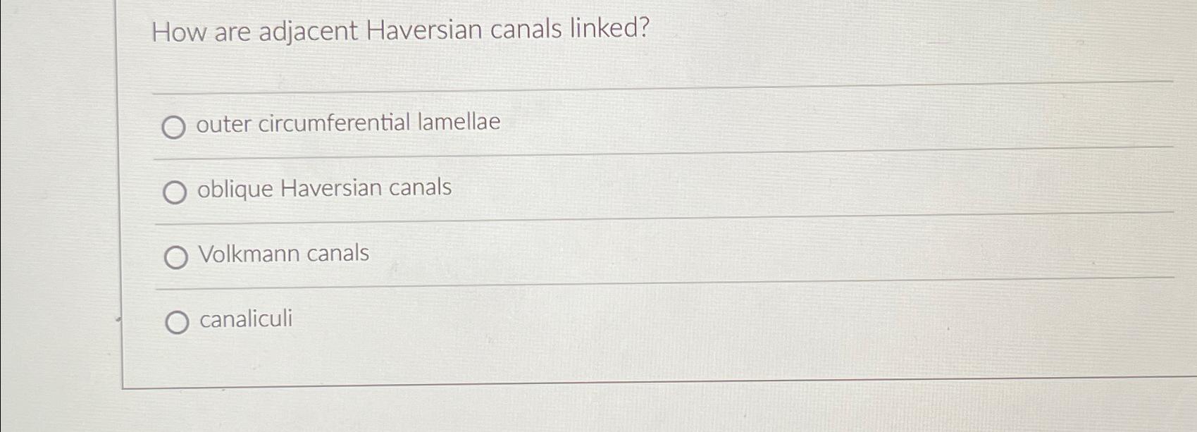 Solved How are adjacent Haversian canals linked?outer | Chegg.com