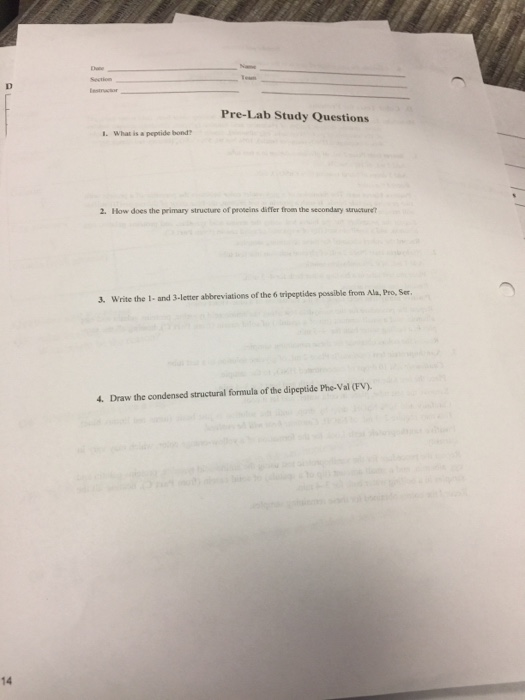 Solved Pre-Lab Study Questions 1. What is a peptide bond 2. | Chegg.com