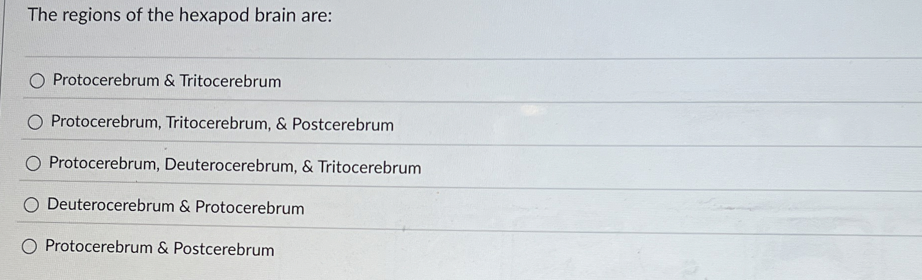 Solved The regions of the hexapod brain are:Protocerebrum & | Chegg.com