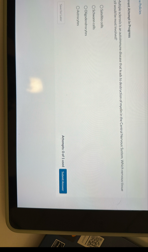 Solved w Policiesrrent Attempt in ProgressMultiple sclerosis | Chegg.com