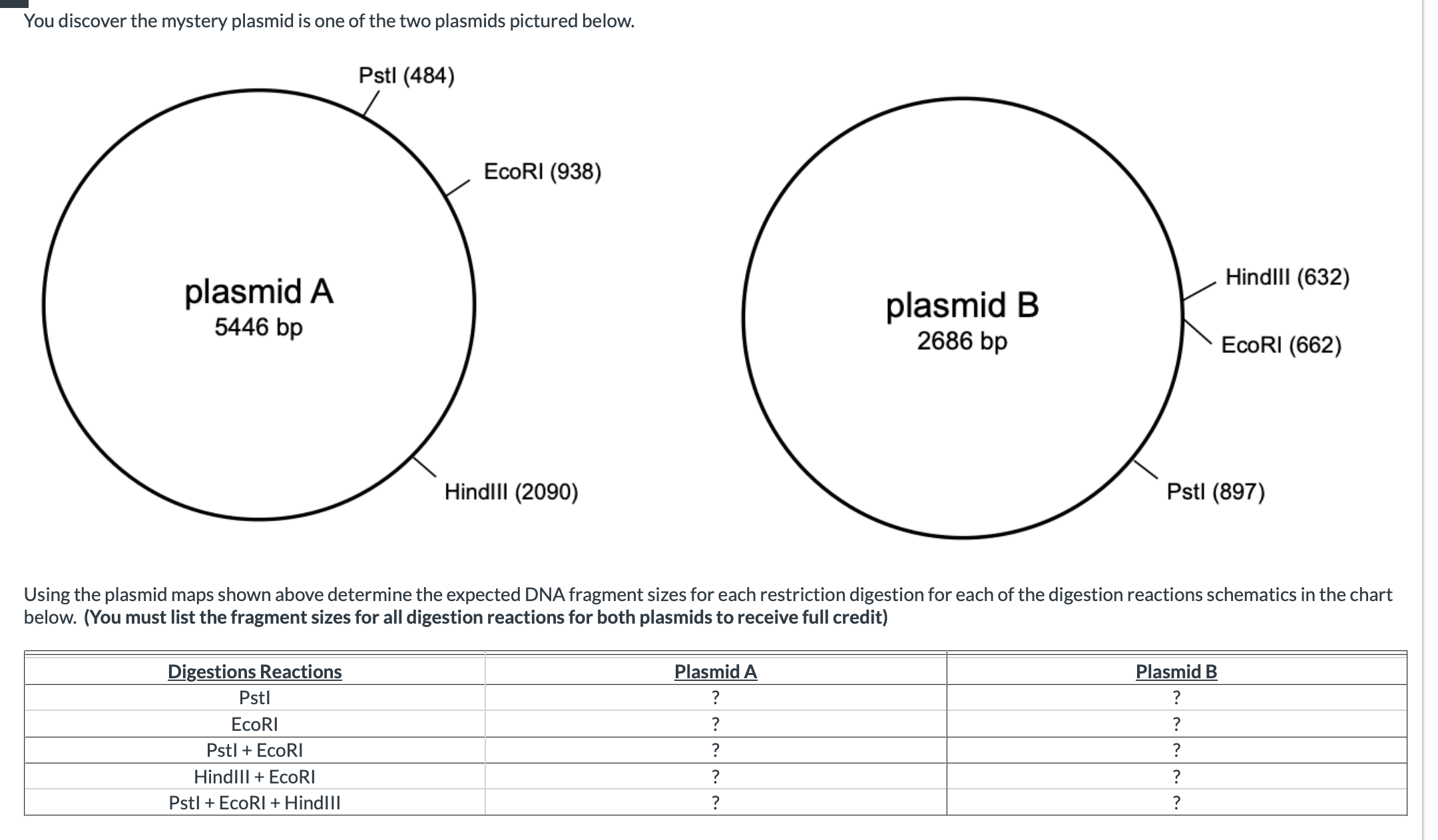 Solved You discover the mystery plasmid is one of the two | Chegg.com