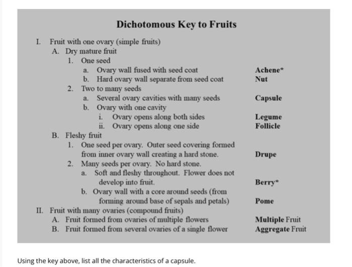 Solved Achene Nut Capsule Dichotomous Key to Fruits I Fruit | Chegg.com