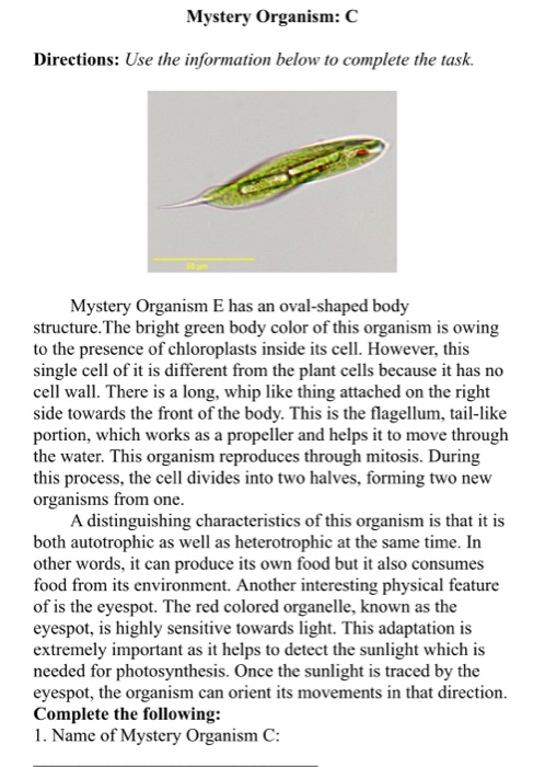 Solved Mystery Organism: C Directions: Use the information | Chegg.com