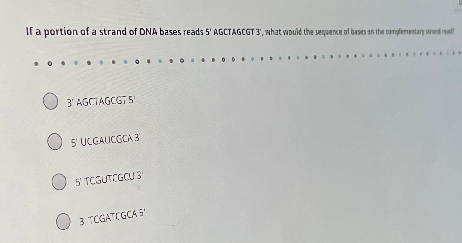Solved If a portion of a strand of DNA bases reads 5' | Chegg.com