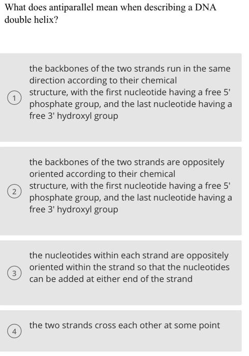 Solved What does antiparallel mean when describing a DNA | Chegg.com