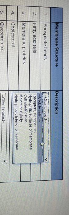 Solved Match the Membrane Structures With Their Function or | Chegg.com