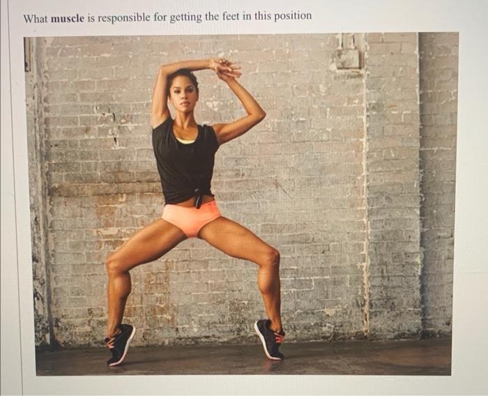 Solved Identify the muscle indicated by arrow. Identify the | Chegg.com