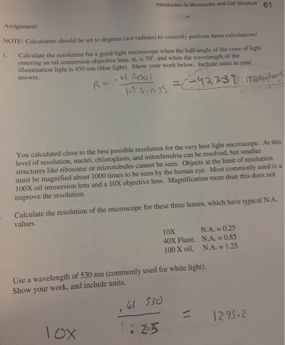 Solved Introduction to Microscopy and Cell Structure 61 | Chegg.com