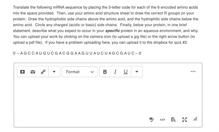 Solved Translate the following mRNA sequence by placing the | Chegg.com