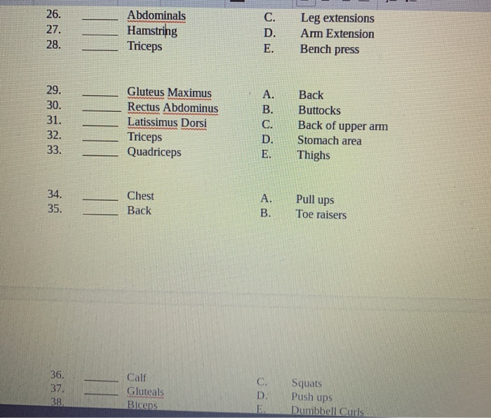 Solved 17. The "call" muscle is called: A. Gastrocnemius B. | Chegg.com
