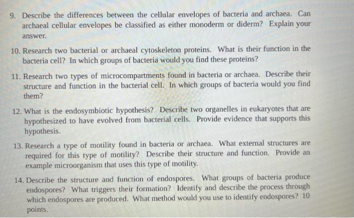 Solved 5. Define microscopic morphology. Describe three | Chegg.com