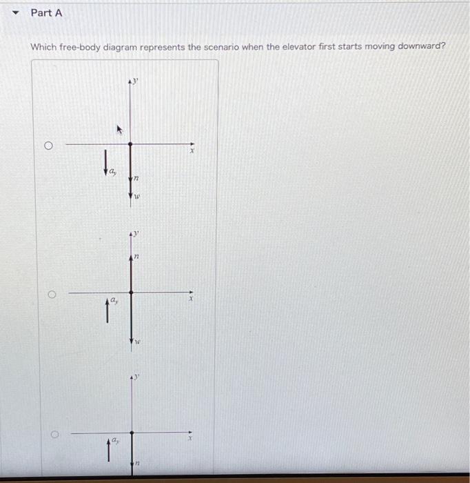Solved You walk into an elevator, step onto a scale, and | Chegg.com