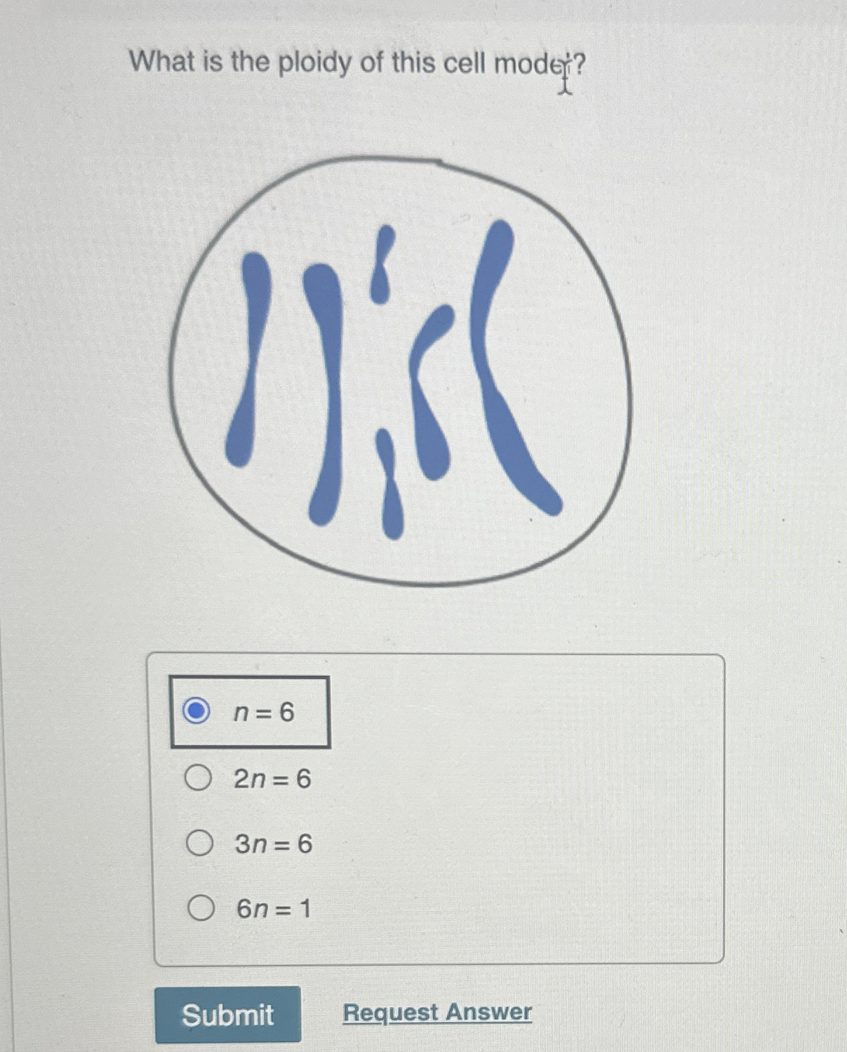 Solved What is the ploidy of this cell | Chegg.com