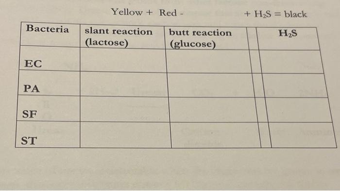Solved Yellow + Red - + HS = black Bacteria slant reaction | Chegg.com
