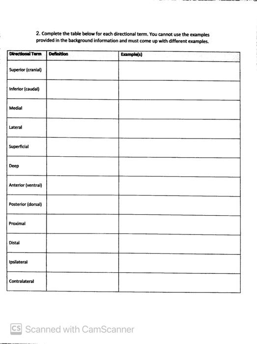 Solved General Anatomy & Physiology Lab Activity sheet-1: | Chegg.com
