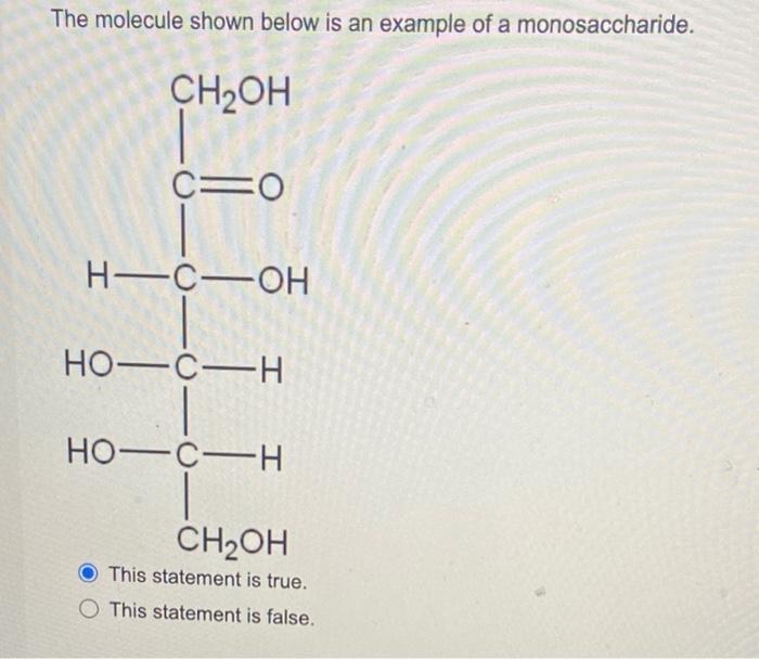 Solved The molecule shown below is an example of a | Chegg.com