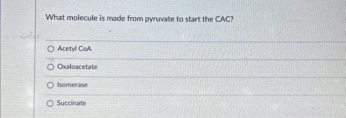 Solved What molecule is made from pyruvate to start the CAC? | Chegg.com
