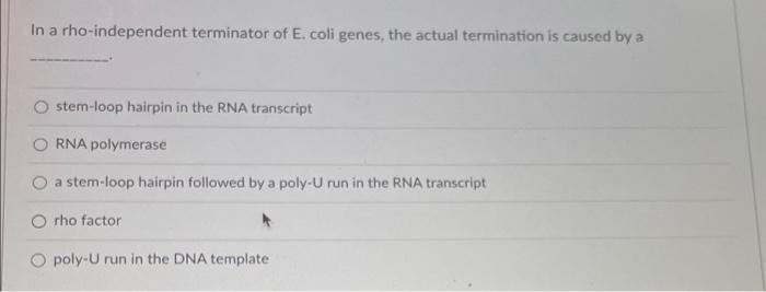 Solved In a rho-independent terminator of E. coli genes, the | Chegg.com