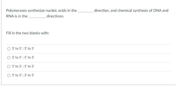 Solved direction, and chemical synthesis of DNA and | Chegg.com
