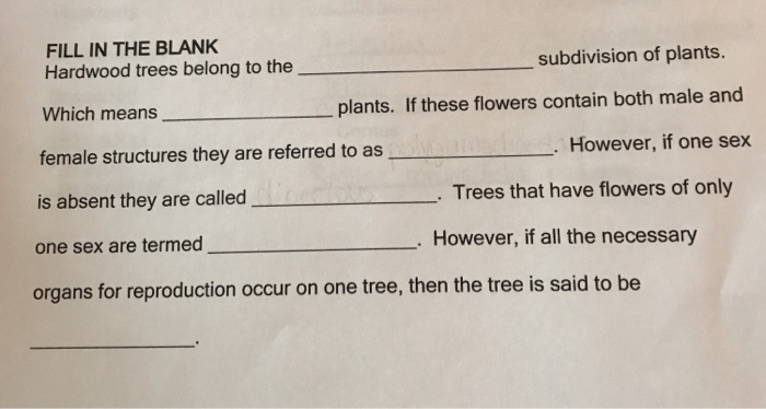 Solved FILL IN THE BLANK Hardwood trees belong to the | Chegg.com