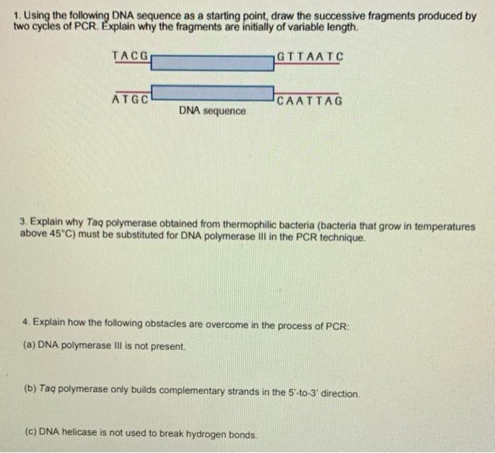 Solved 1. Using the following DNA sequence as a starting | Chegg.com