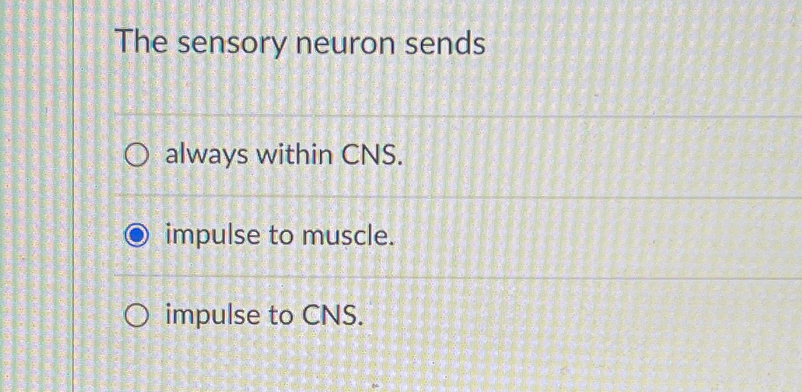 Solved The sensory neuron sendsalways within CNS.impulse to | Chegg.com
