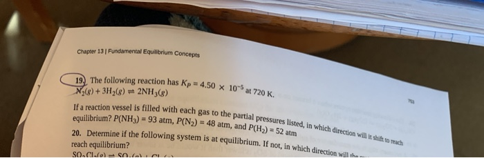 Solved Chapter 13 Fundamental Equilibrium Concepts 19. The | Chegg.com