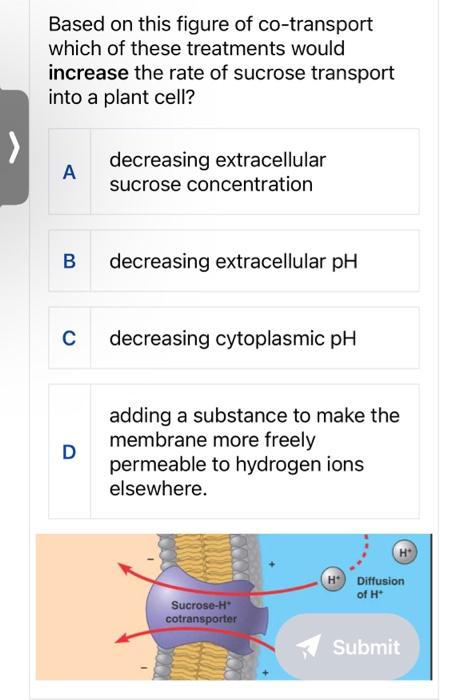 Solved Based on this figure of co-transport which of these | Chegg.com