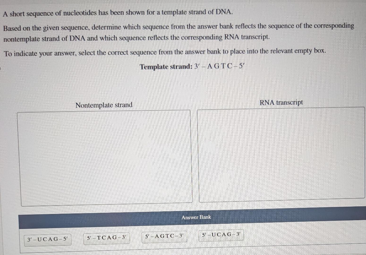 Solved A short sequence of nucleotides has been shown for a | Chegg.com
