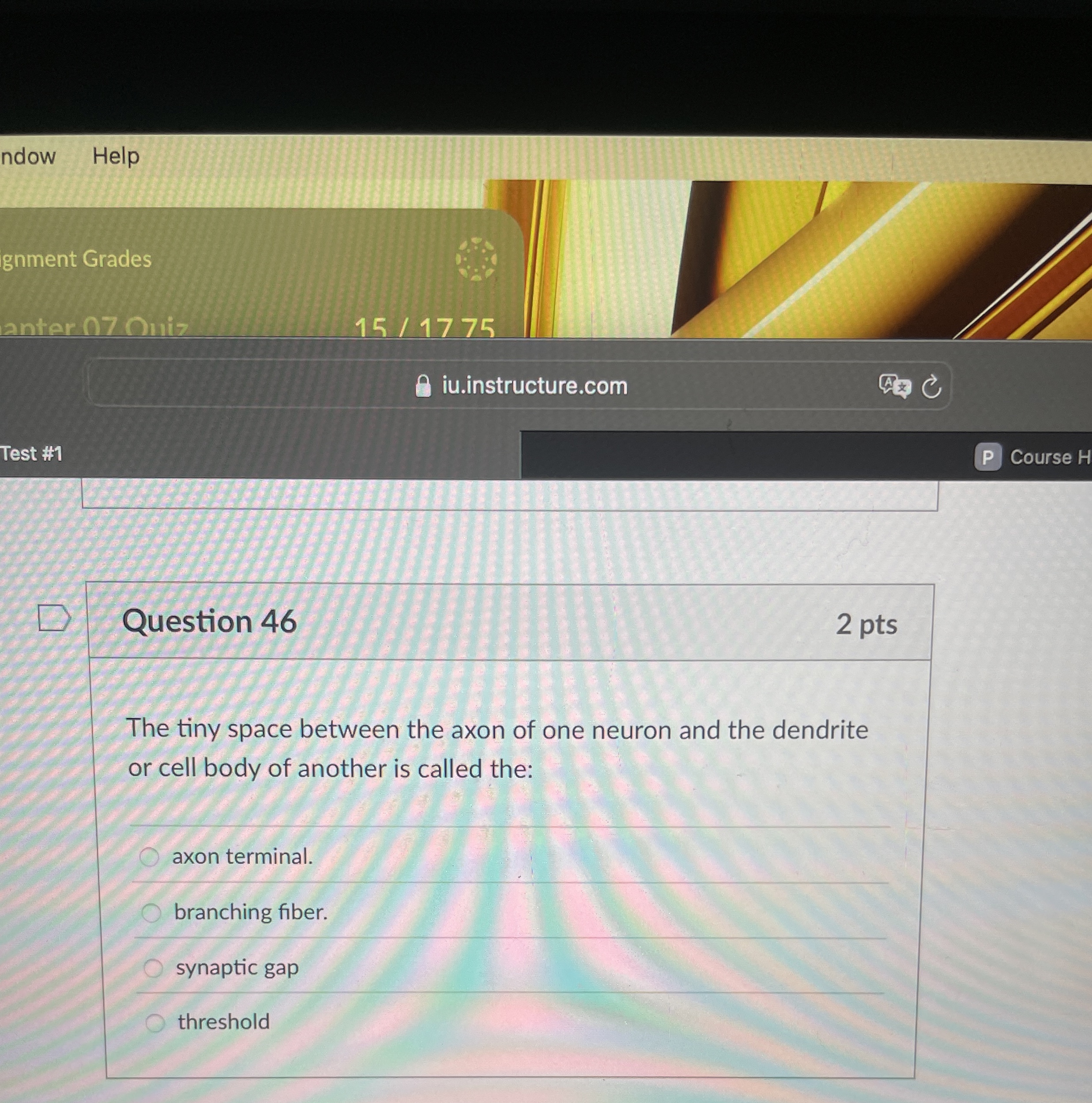 Solved Question 46The tiny space between the axon of one | Chegg.com
