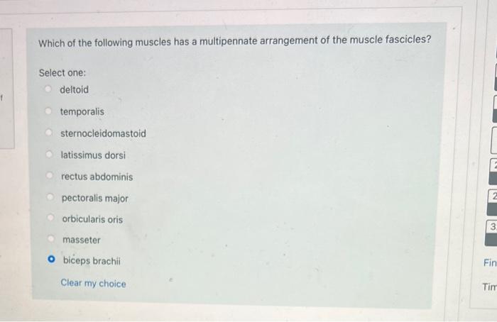 Solved Which of the following muscles has a multipennate | Chegg.com