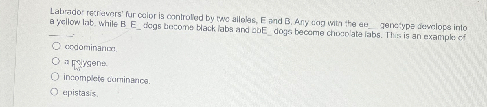 Solved Labrador retrievers' fur color is controlled by two | Chegg.com