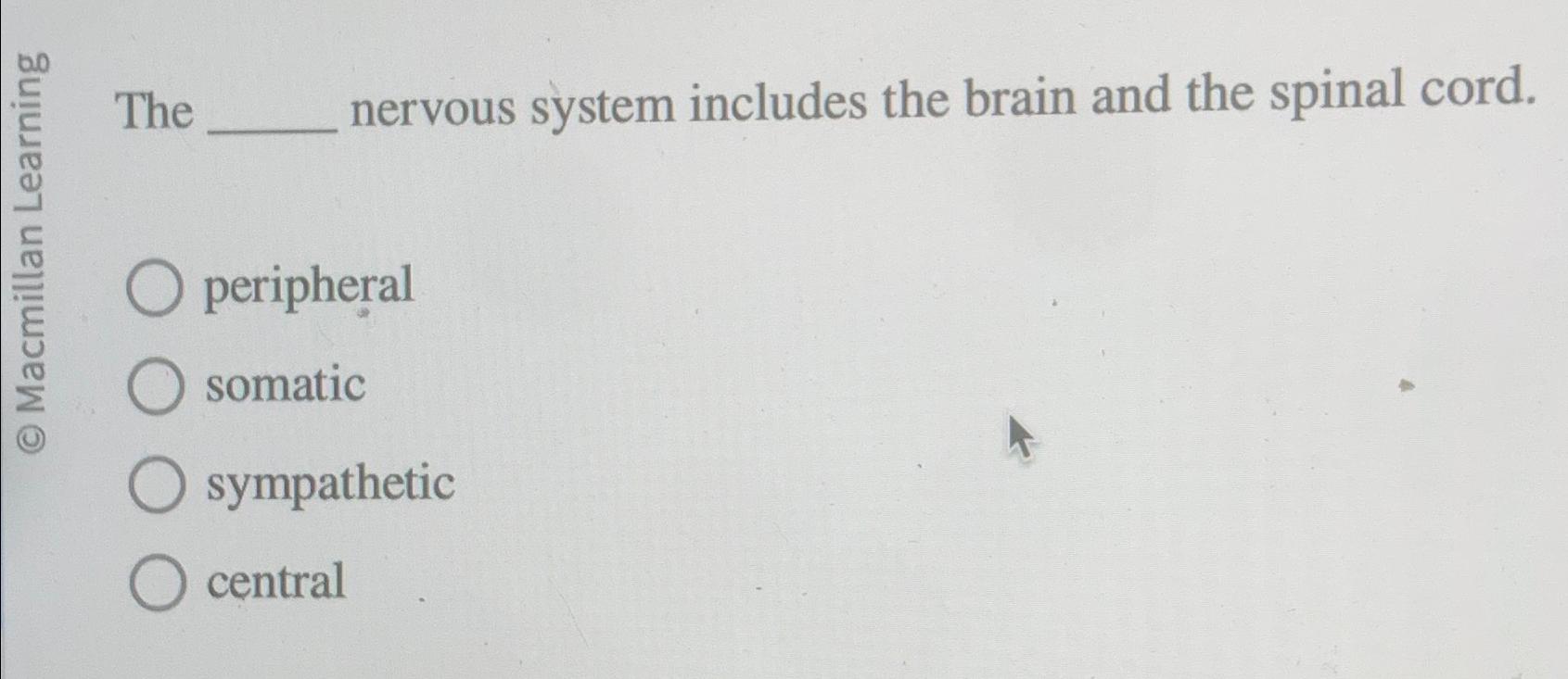 Solved The nervous system includes the brain and the spinal | Chegg.com