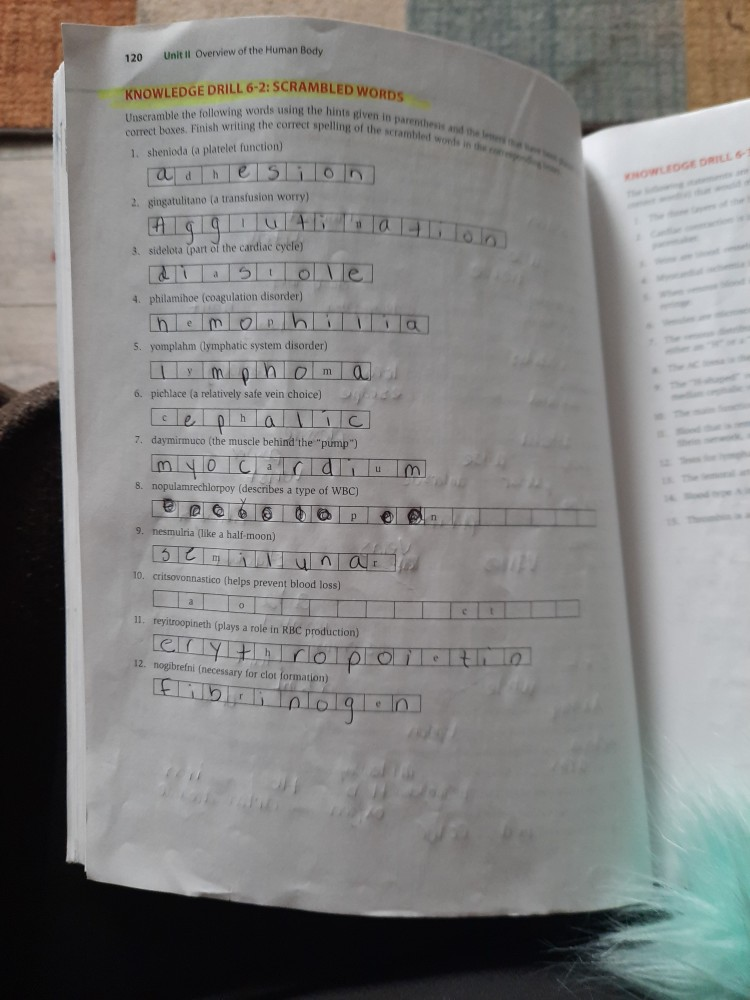 Solved 120 KNOWLEDGE DRILL 6 2 SCRAMBLED WORDS Unscramble Chegg Solved 120 KNOWLEDGE DRILL 6 2 SCRAMBLED WORDS Unscramble Chegg