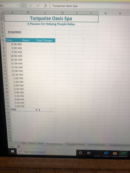 Grader - Instructions Excel 2019 Project | Chegg.com
