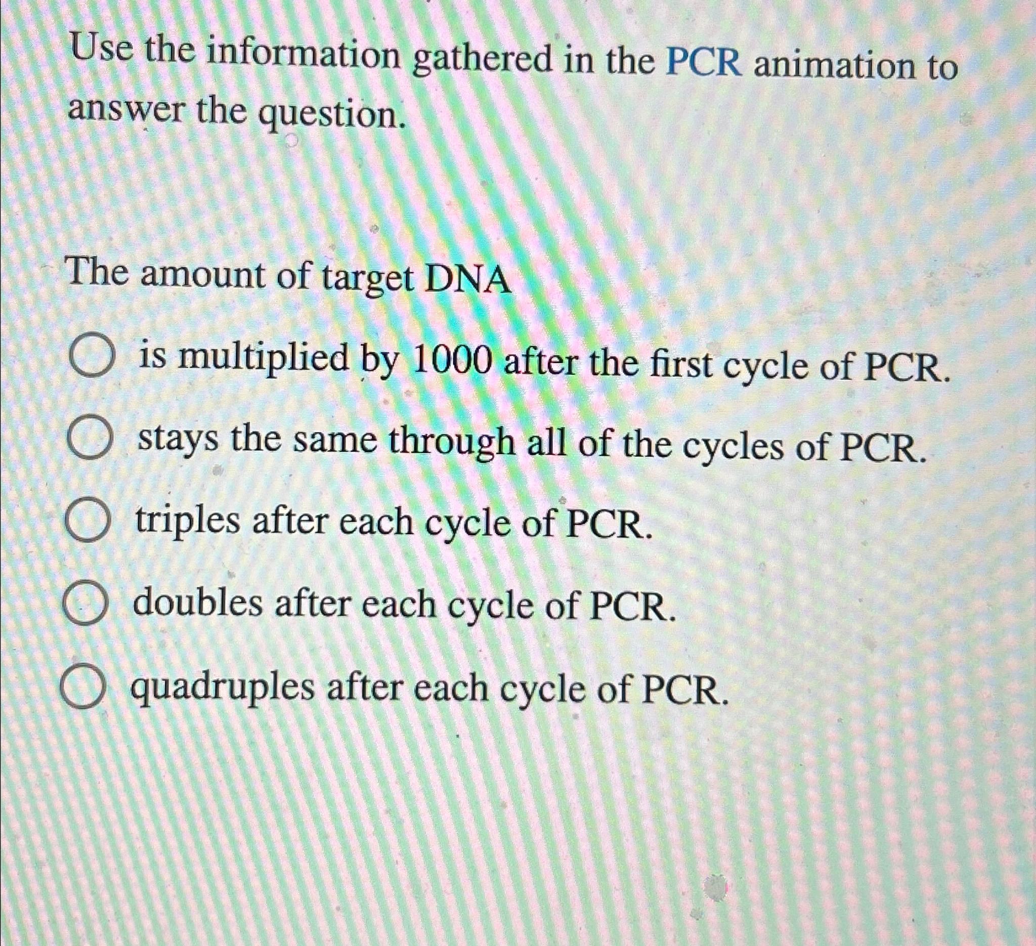 Solved Use the information gathered in the PCR animation to | Chegg.com