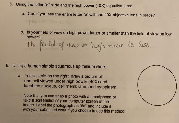 Solved 8. Using the bacterial cell slide a. In the circle on | Chegg.com