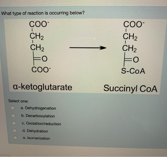 Solved What type of reaction is occurring below? 1 COO- CH2 | Chegg.com