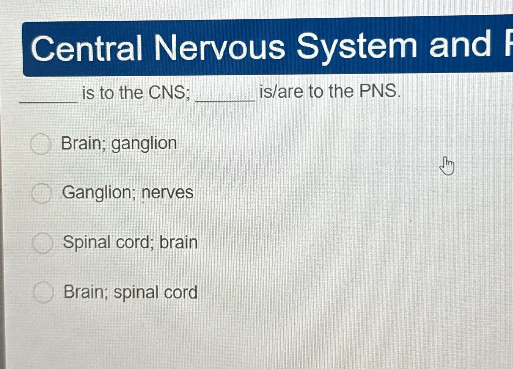 Solved Central Nervous System andis to the CNS; is/are to | Chegg.com