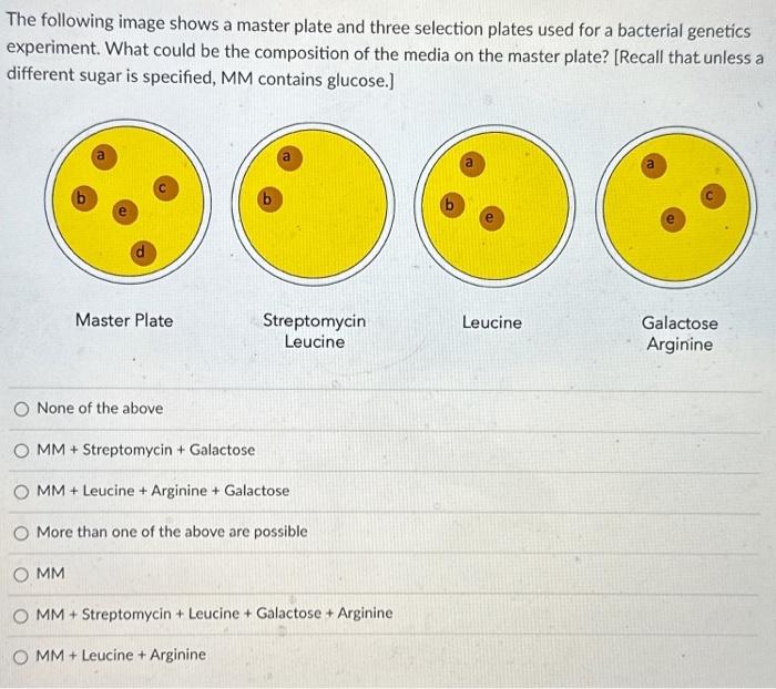 Solved The following image shows a master plate and three | Chegg.com