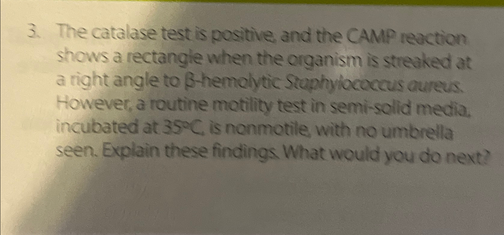 Solved The catalase test is positive and the CAMP reaction | Chegg.com