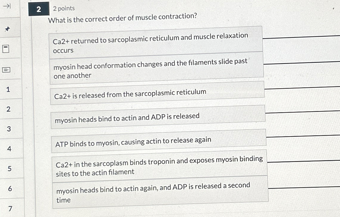 Solved 22 ﻿pointsWhat is the correct order of muscle | Chegg.com