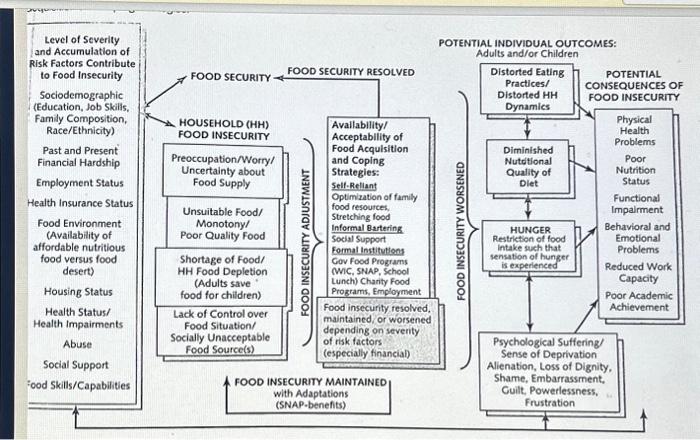 Solved Food insecurity web Describe the above image: Explain | Chegg.com